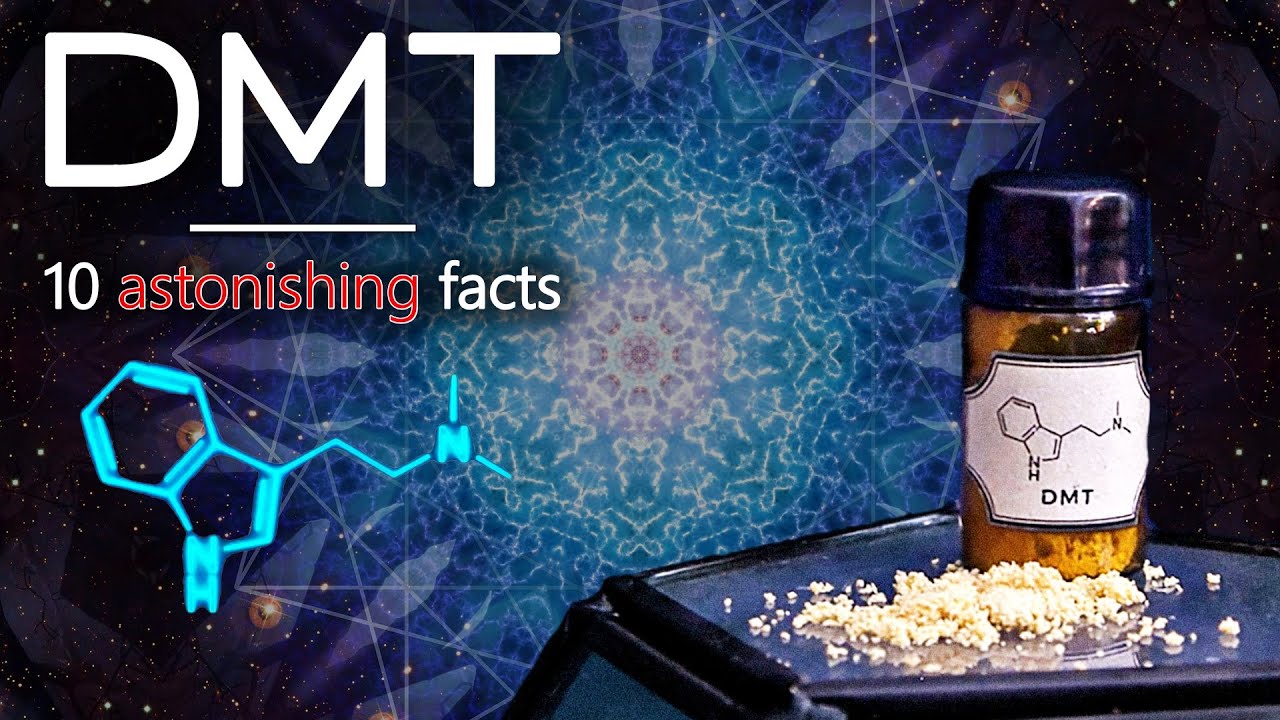 The Ultimate Guide to DMT Vape Pens: Where to Buy, Legal Considerations ...